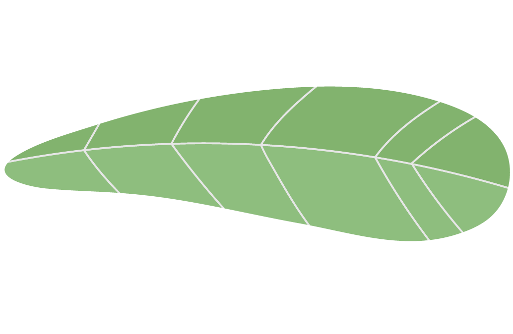 Efekto Malasol 100ML – Gardenvale